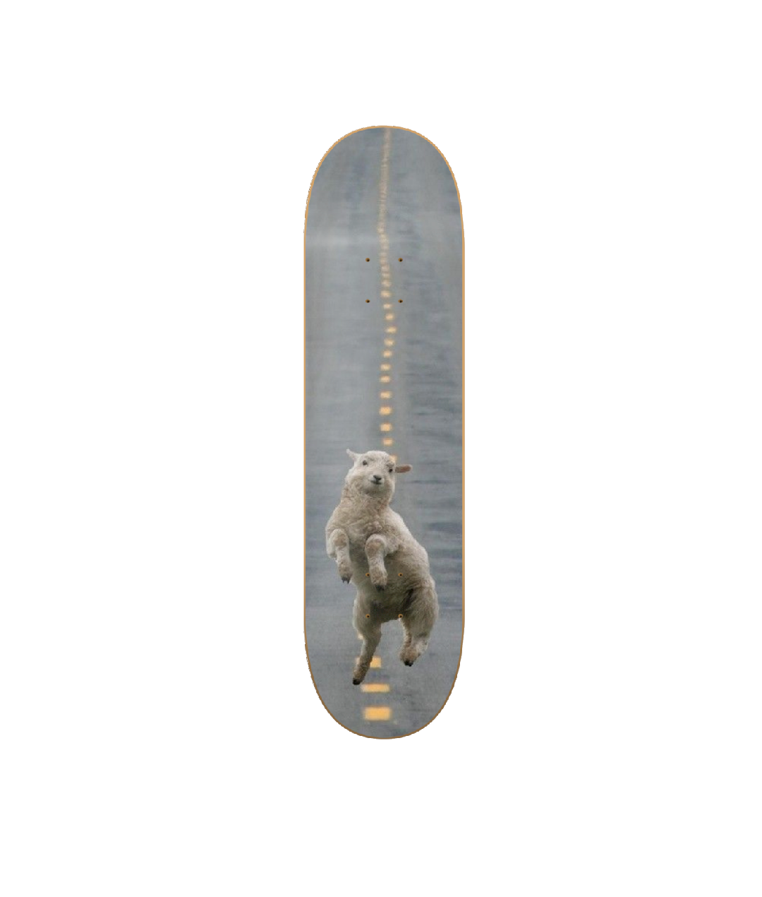 Road Sheep | Wonder Wall Studio® Skate Arte Personlizado – wonder-wall ...